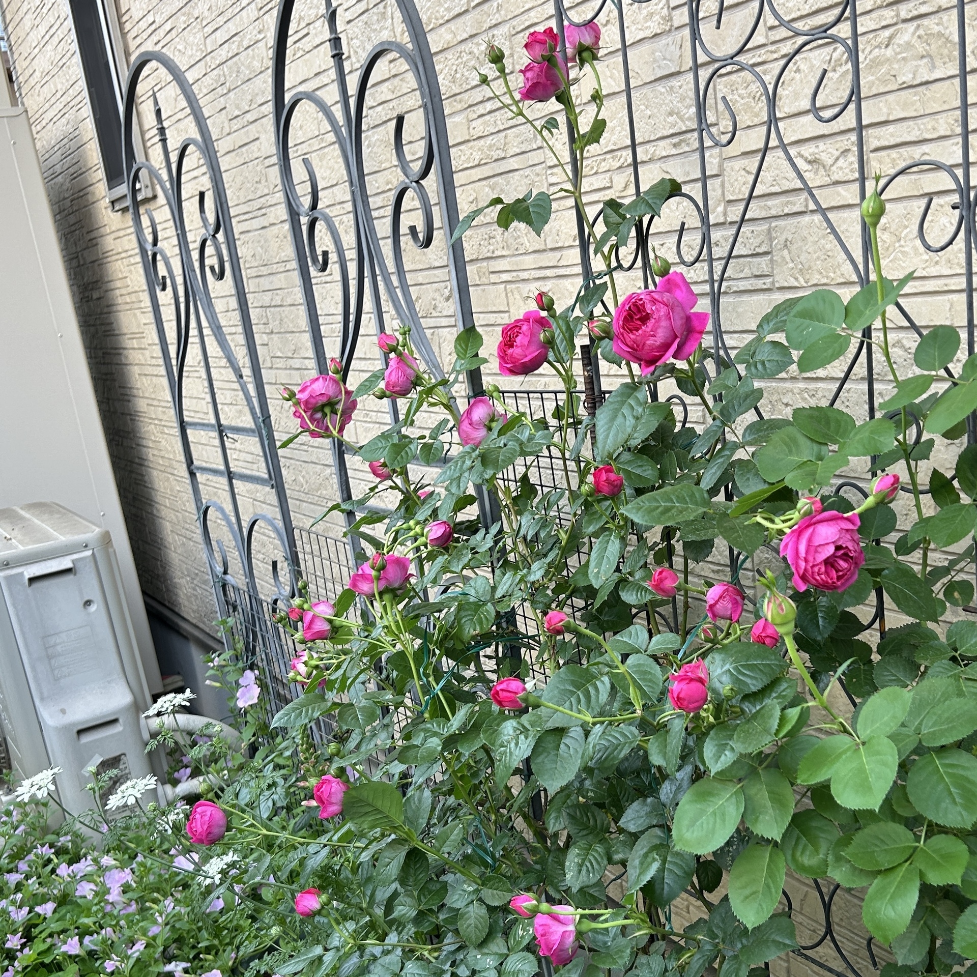 グローブマイスターは目立つ色: Green's Garden