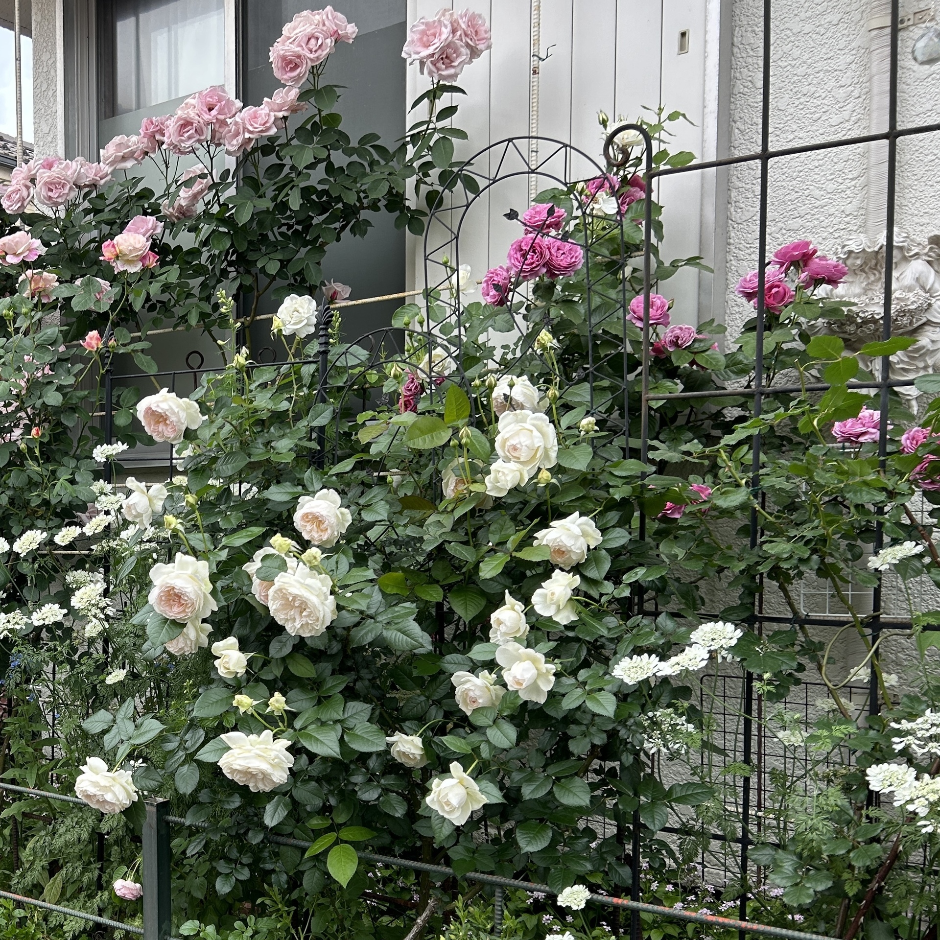 ボレロをコンパクトに: Green's Garden