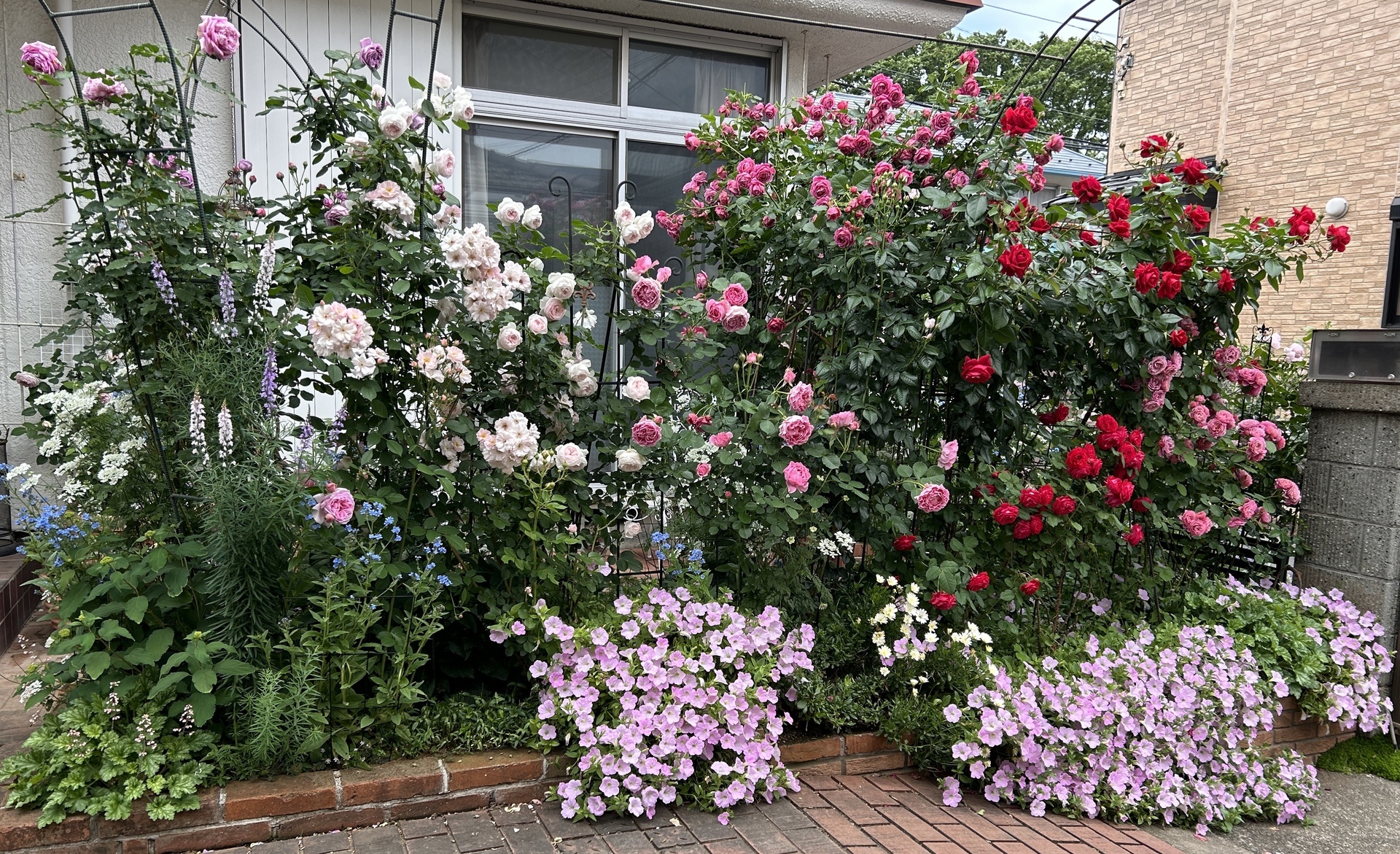 暑すぎる気候と街路樹: Green's Garden