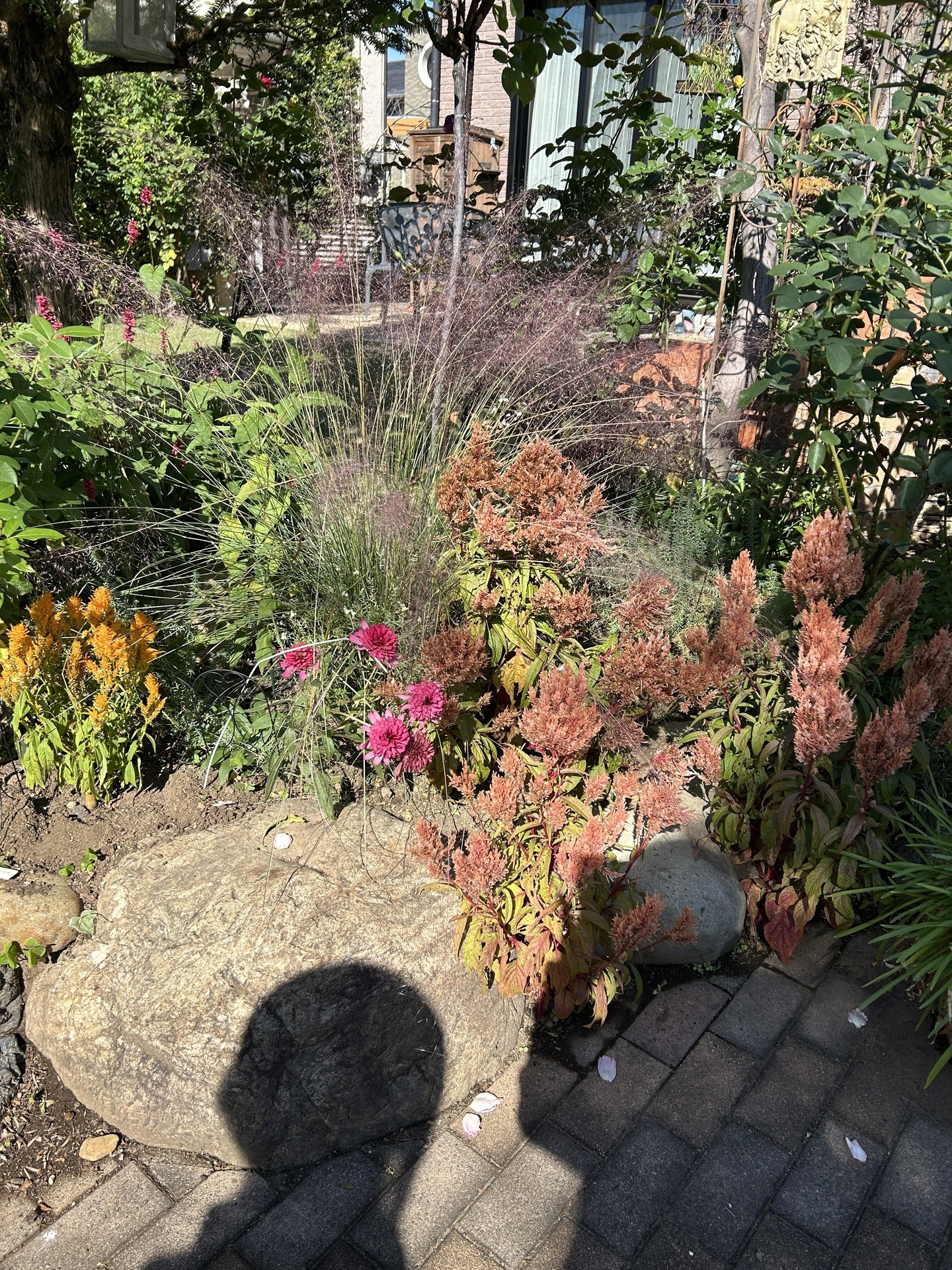 バラ友の庭3: Green's Garden